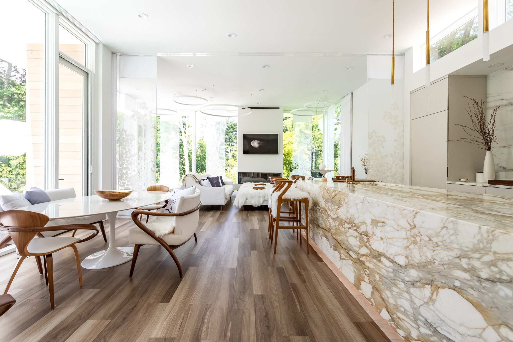 Contemporary Dream Home - Dakota Dawn Delineation